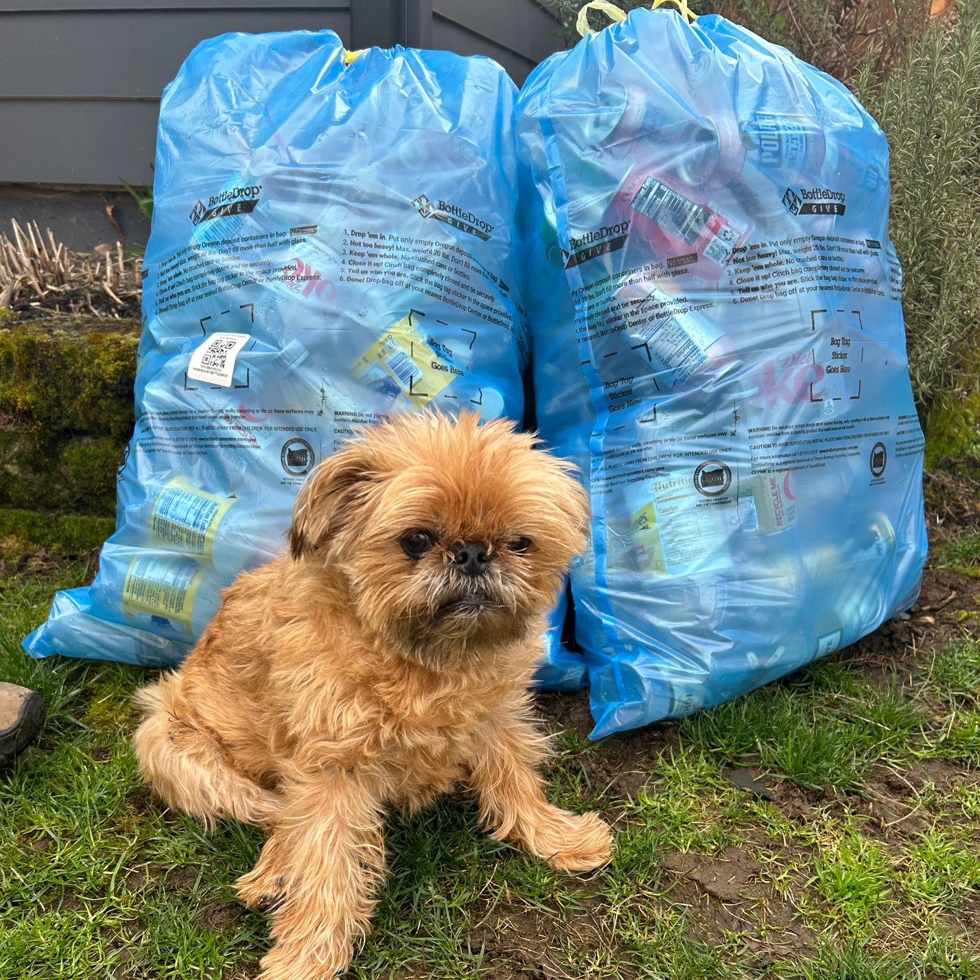 Pacific Pug Rescue - BottleDrop
